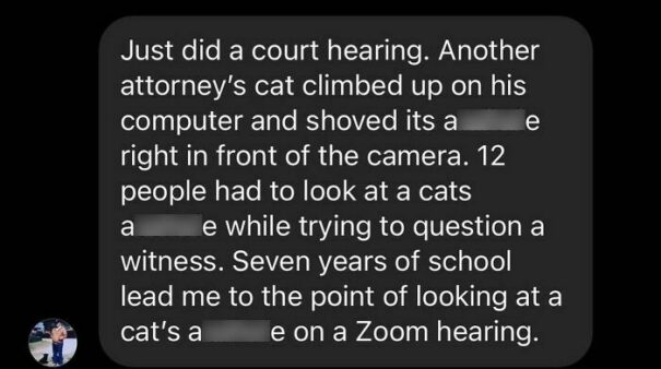 Instagram Page With Almost 100k Followers Shares Hilarious Courtroom ...