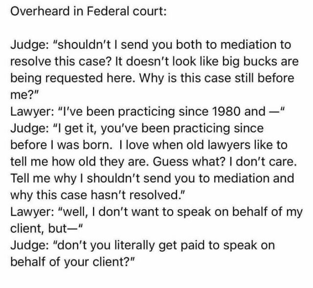 Instagram Page With Almost 100k Followers Shares Hilarious Courtroom ...