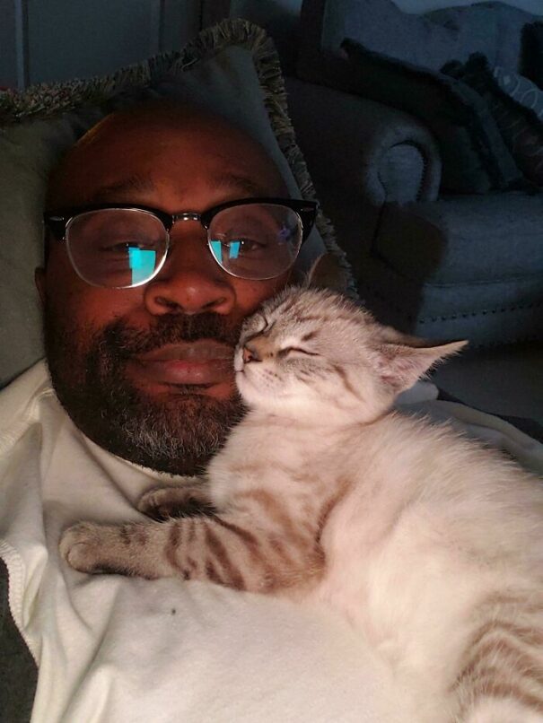 30 Times Pets Hilariously Invaded Owner's Personal Space | DeMilked