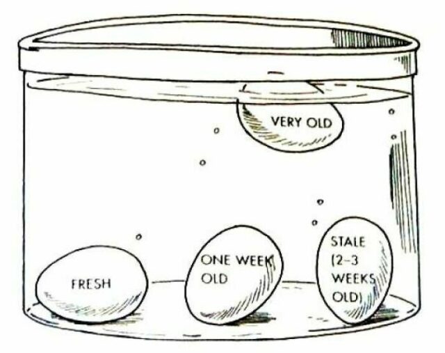 20 Cool And Useful Charts To Learn More About Food And Cooking | DeMilked