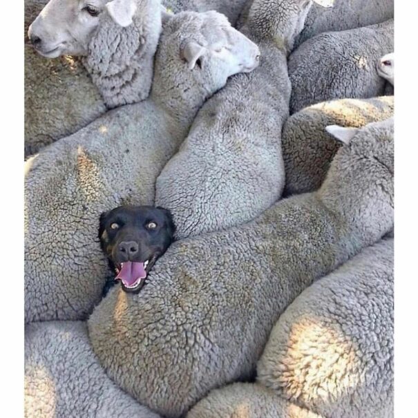 20 Times This Instagram Account Shared Random Fascinating Moments From ...