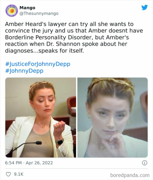 30 Funny Reactions And Memes That Sum Up Johnny Depp And Amber Heard's ...
