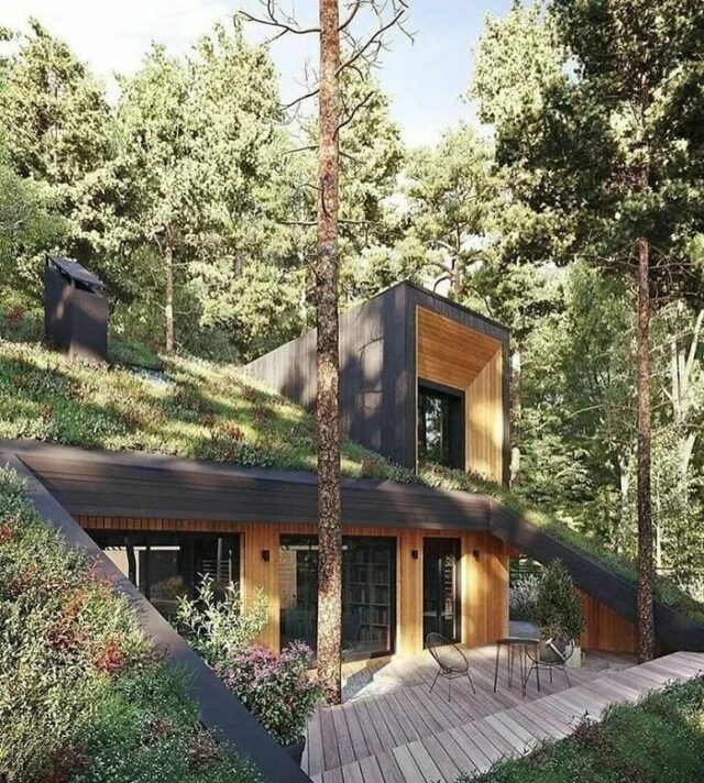 30 “Crazy Woodworking Projects” That Demonstrate The Mad Talent And ...