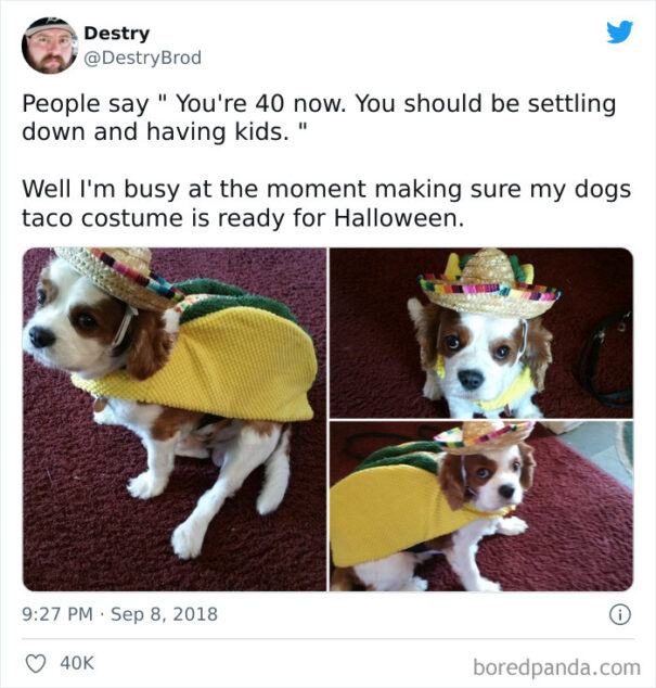 25 Memes And Jokes From A Facebook Page Sharing "Childfree Humor ...