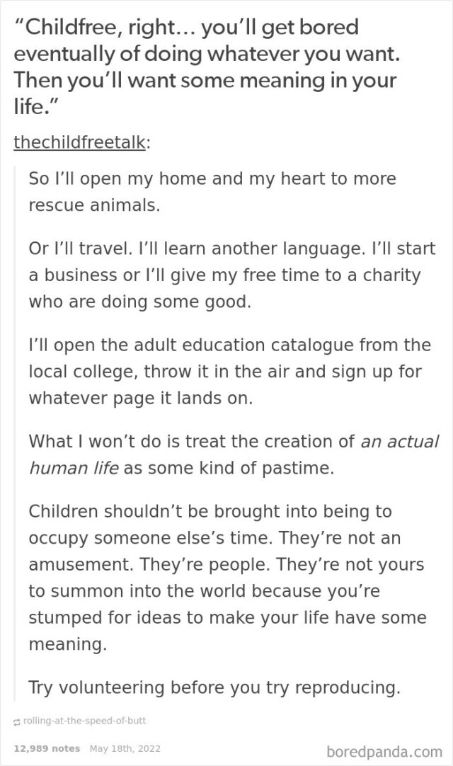 25 Memes And Jokes From A Facebook Page Sharing "Childfree Humor ...