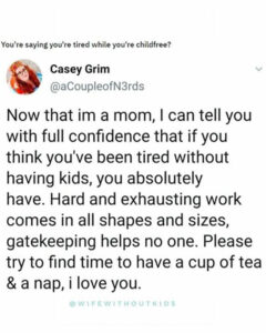 25 Memes And Jokes From A Facebook Page Sharing "Childfree Humor ...