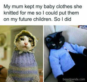 25 Memes And Jokes From A Facebook Page Sharing "Childfree Humor ...