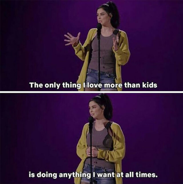 25 Memes And Jokes From A Facebook Page Sharing "Childfree Humor ...