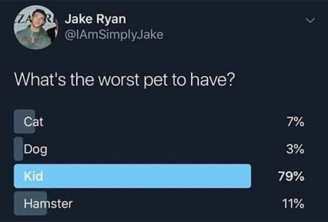 25 Memes And Jokes From A Facebook Page Sharing "Childfree Humor ...