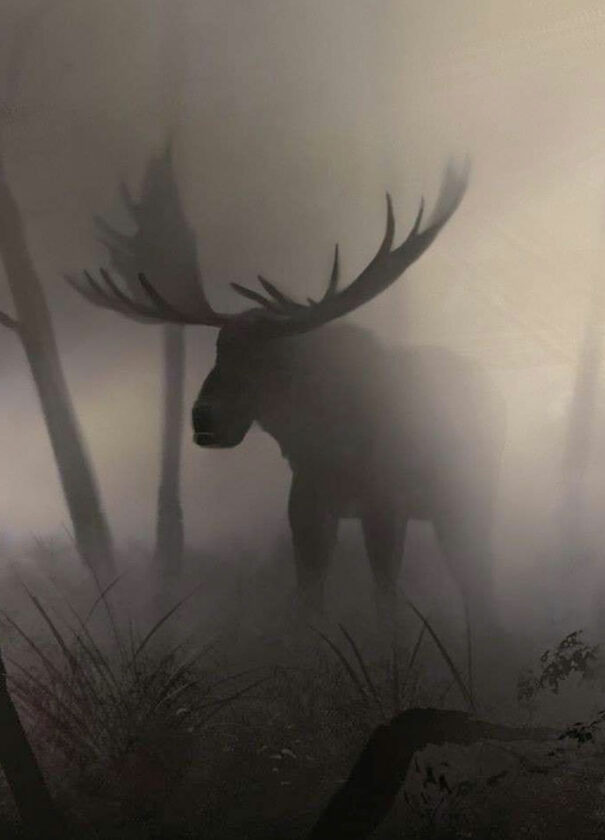 30 Of The Most Terrifying Things Spotted In Nature, As Shared By People ...