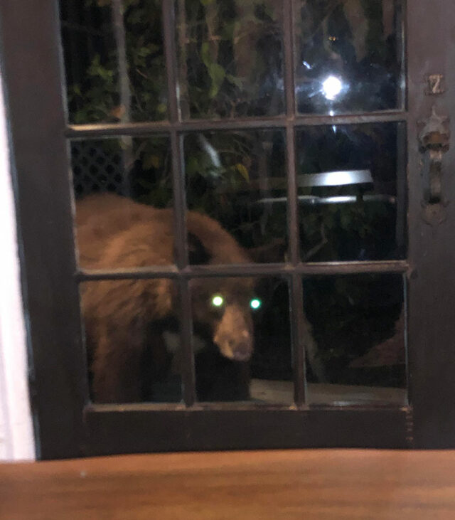 30 Of The Most Terrifying Things Spotted In Nature, As Shared By People ...