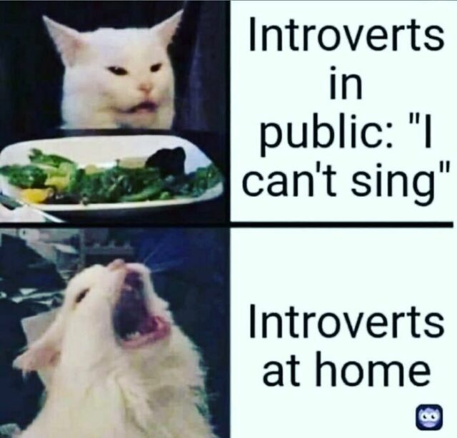 30 Of The Most Accurate Introvert Memes Shared By This Instagram Page ...