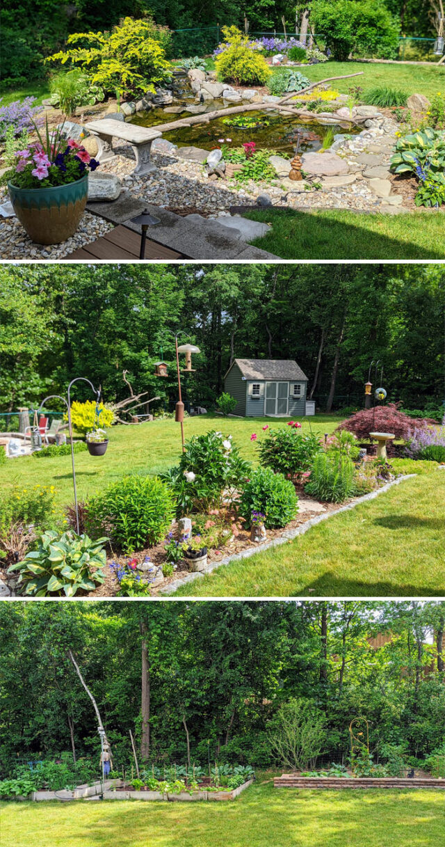 20 Incredible Ideas As Shared By 'Creative Gardening' Facebook Group ...