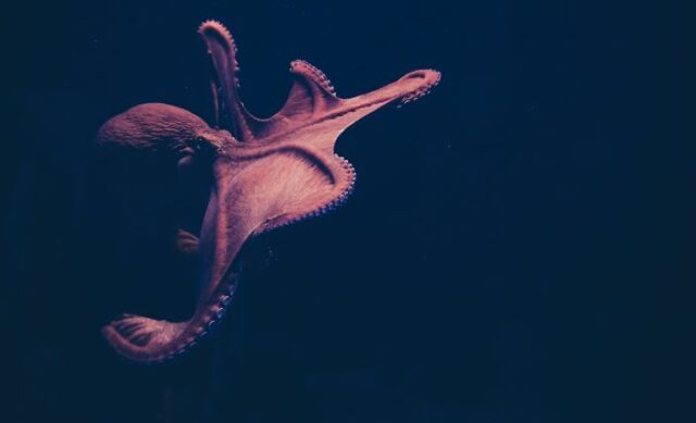 20 People Share Their Creepiest Or Scariest Ocean-Related Experiences ...