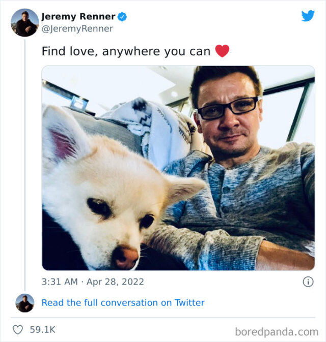 30 Funny, Wholesome, And Memorable Tweets Posted By Celebrities | DeMilked