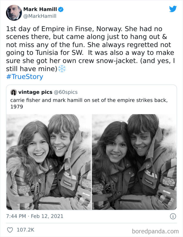 30 Funny, Wholesome, And Memorable Tweets Posted By Celebrities | DeMilked