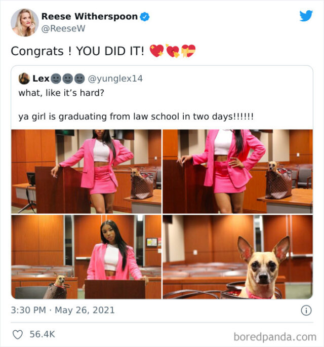 30 Funny, Wholesome, And Memorable Tweets Posted By Celebrities | DeMilked