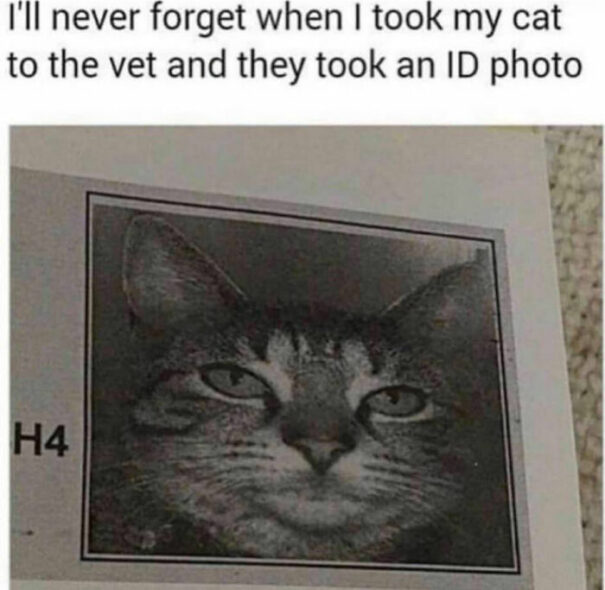 20 Of The Most Hilarious ID Pics Ever Taken, As Shared Online | DeMilked