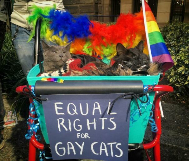 30 Of The Most Funny Sightings From Pride Events Around The World ...