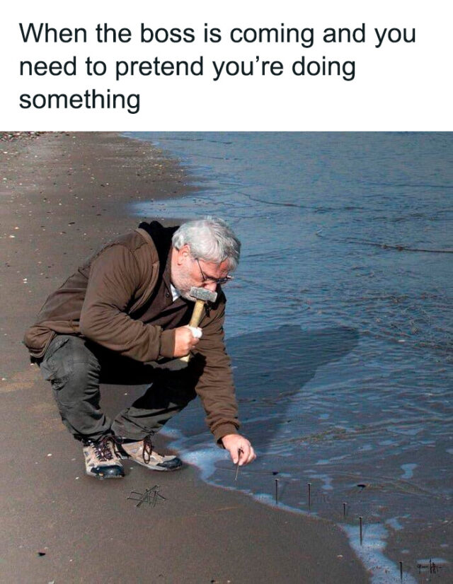 30 Memes That Perfectly Summarize What Working Life Feels Like, As ...