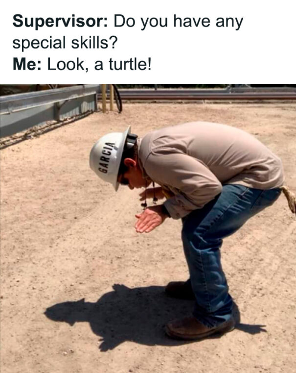 30 Memes That Perfectly Summarize What Working Life Feels Like, As ...