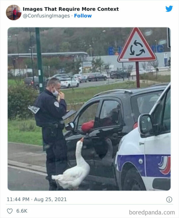 20 Random Pics Posted On This Twitter Page That Doesn't Make Any Sense ...
