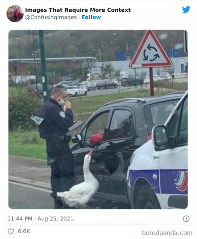 20 Random Pics Posted On This Twitter Page That Doesn't Make Any Sense ...