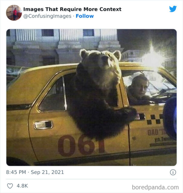 20 Random Pics Posted On This Twitter Page That Doesn't Make Any Sense ...