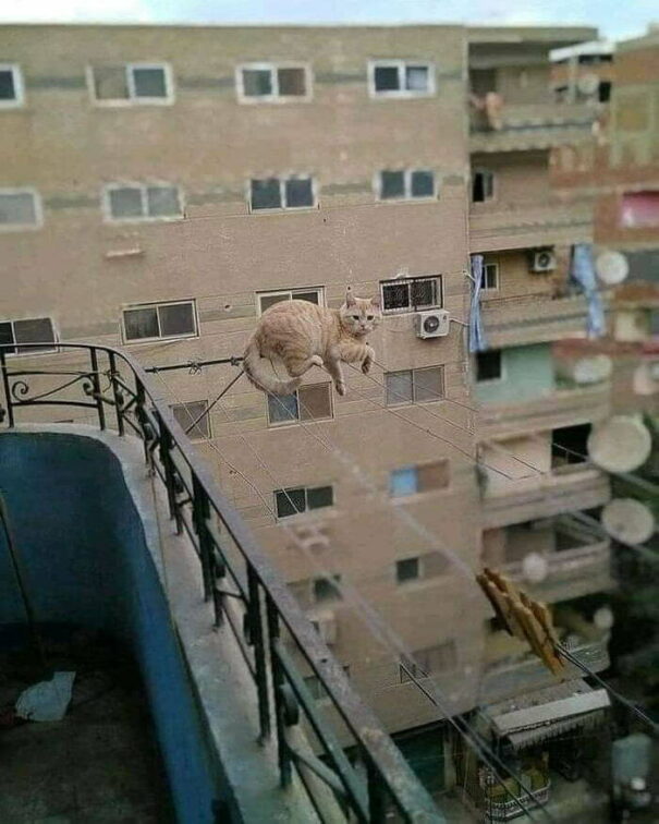 20 Haunting Photos That Might Keep You Awake At Night | DeMilked