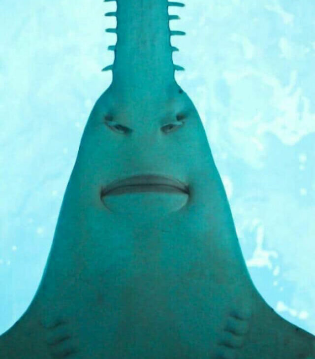 30 Animals And Other Creatures That Make You Say "Nope" Despite Them ...