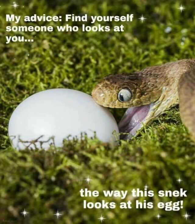 30 Animals And Other Creatures That Make You Say "Nope" Despite Them ...