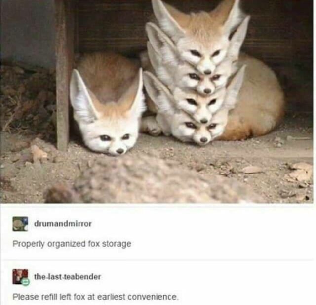 30 Animals And Other Creatures That Make You Say "Nope" Despite Them ...