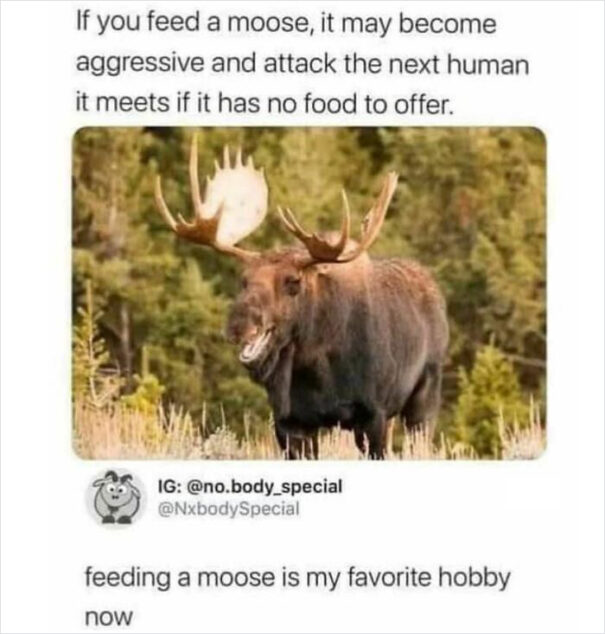 30 Animals And Other Creatures That Make You Say "Nope" Despite Them ...