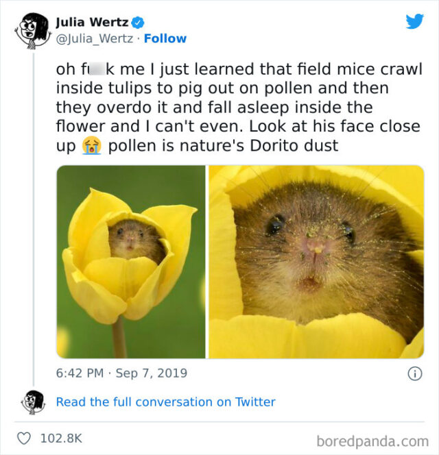 30 Animals And Other Creatures That Make You Say "Nope" Despite Them ...