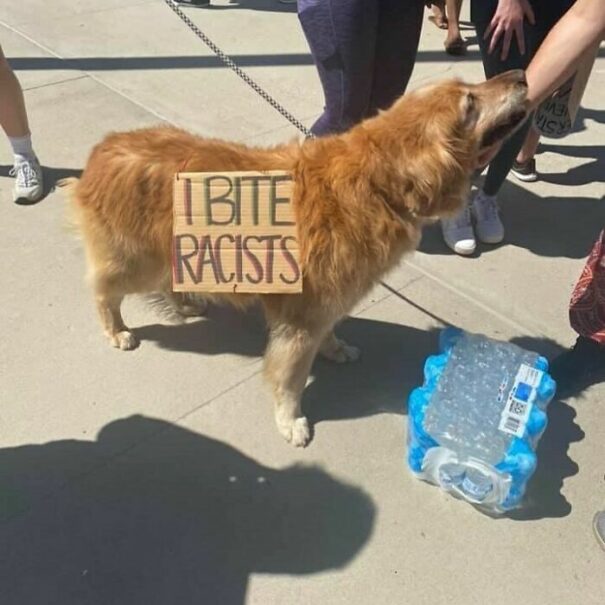 30 Times This Instagram Account Shared Random Memes That Are Completely ...