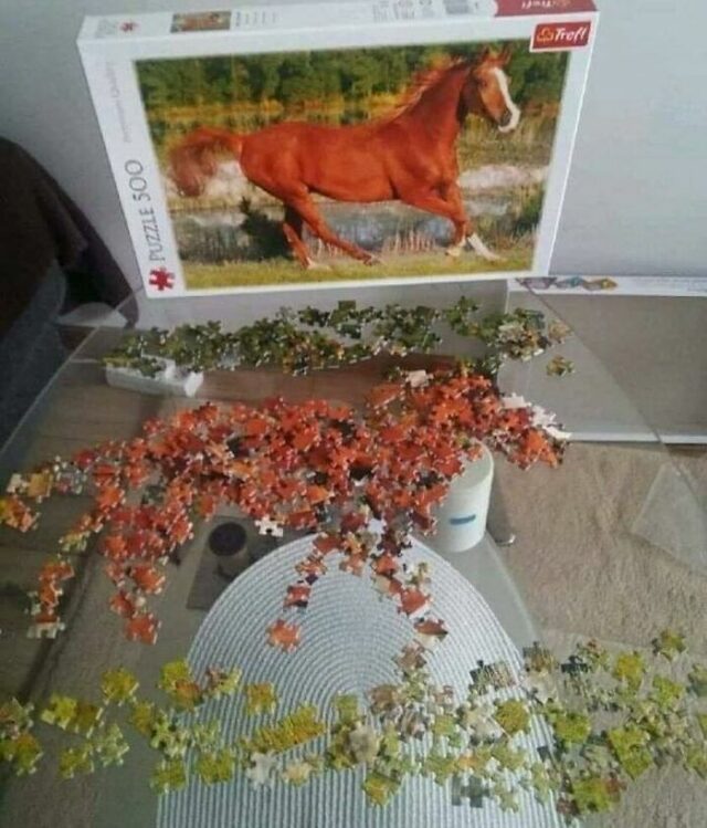 30 Times This Instagram Account Shared Random Memes That Are Completely ...