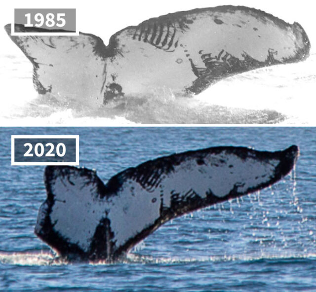 20 Examples Of Rare Coincidences Shared By People Online | DeMilked