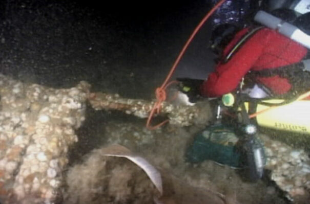 30 Of The Most Random Fun Facts To Feed Your Brain | DeMilked