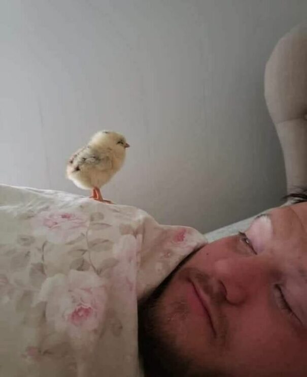 30 Of The Most Adorable ‘Blessed Images’ To Heal Your Soul | DeMilked