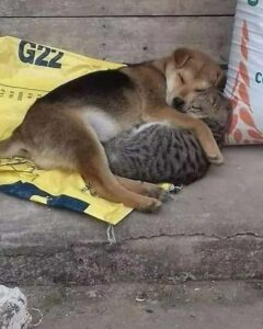 30 Of The Most Adorable ‘Blessed Images’ To Heal Your Soul | DeMilked