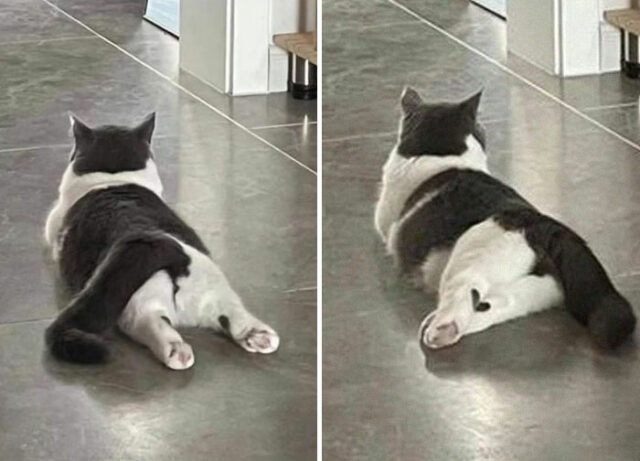 30 Of The Most Adorable ‘Blessed Images’ To Heal Your Soul | DeMilked