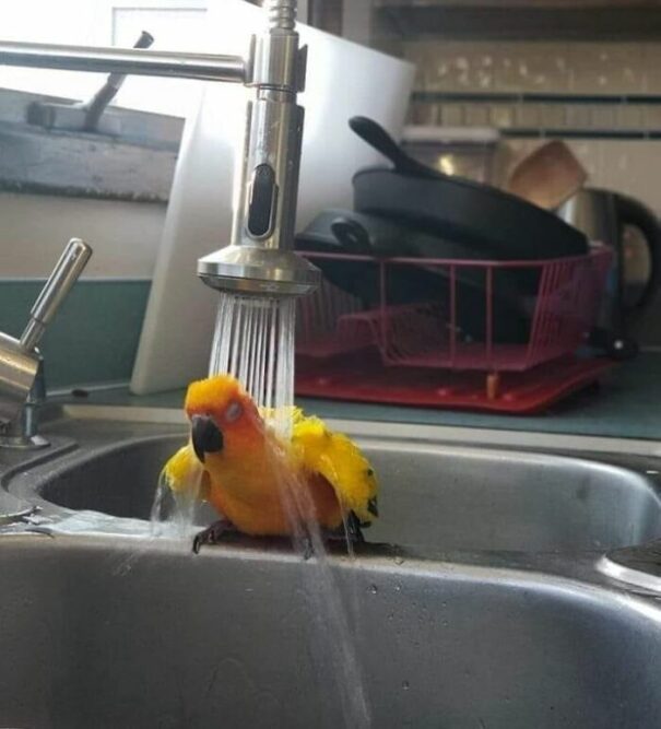 30 Of The Most Adorable ‘Blessed Images’ To Heal Your Soul | DeMilked