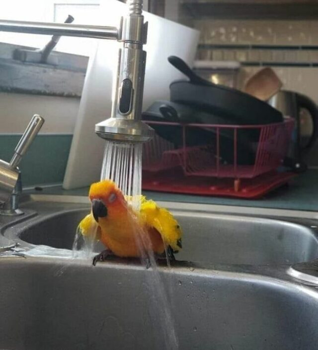 30 Of The Most Adorable ‘Blessed Images’ To Heal Your Soul | DeMilked