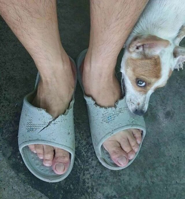 30 Of The Most Adorable ‘Blessed Images’ To Heal Your Soul | DeMilked