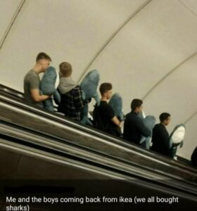 30 Of The Most Adorable ‘Blessed Images’ To Heal Your Soul | DeMilked