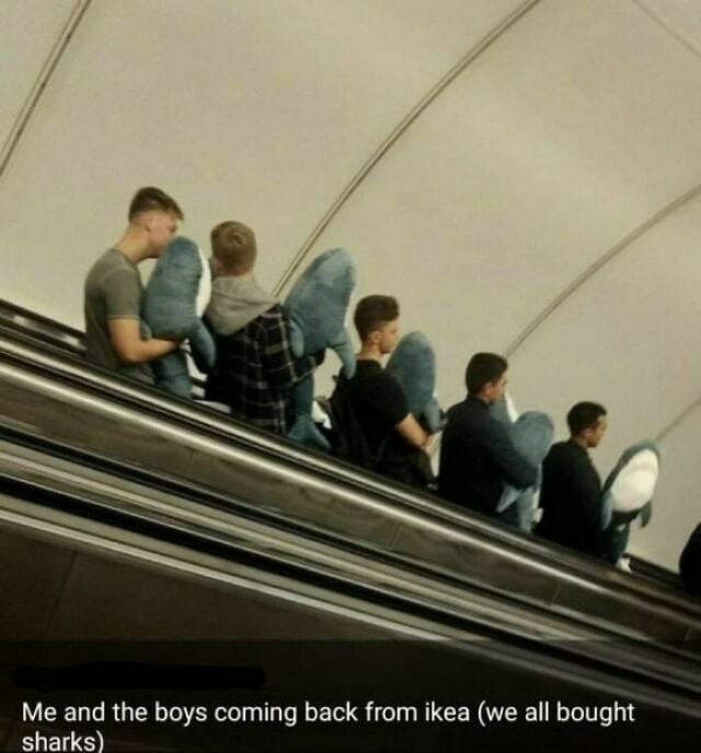 30 Of The Most Adorable ‘Blessed Images’ To Heal Your Soul | DeMilked