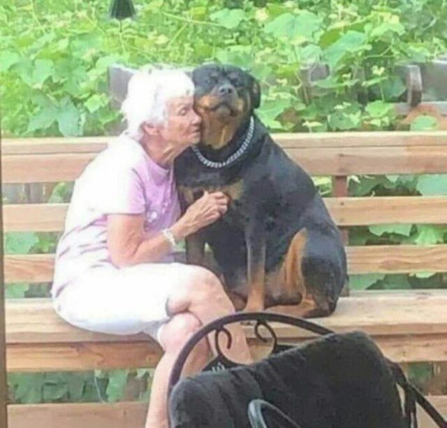 30 Of The Most Adorable ‘Blessed Images’ To Heal Your Soul | DeMilked