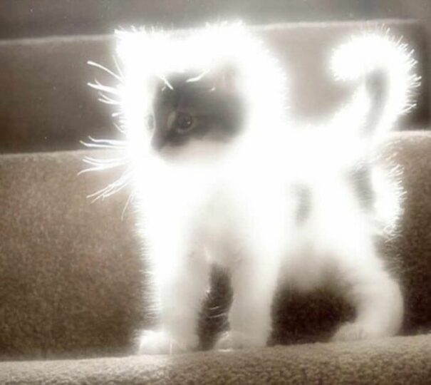 30 Of The Most Adorable ‘Blessed Images’ To Heal Your Soul | DeMilked