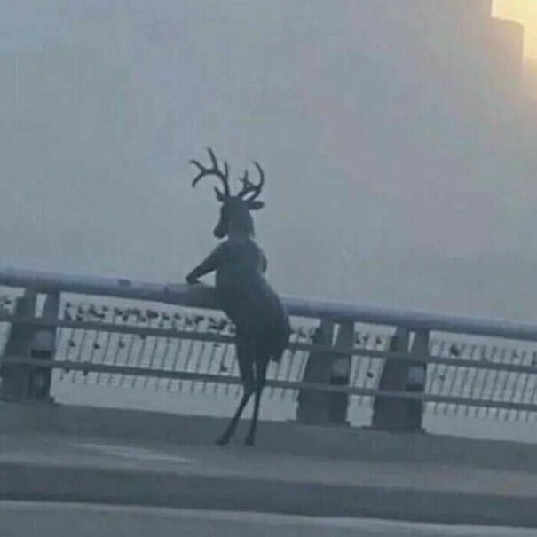 30 Confusing Images Without Context That Might Make You Question Things ...