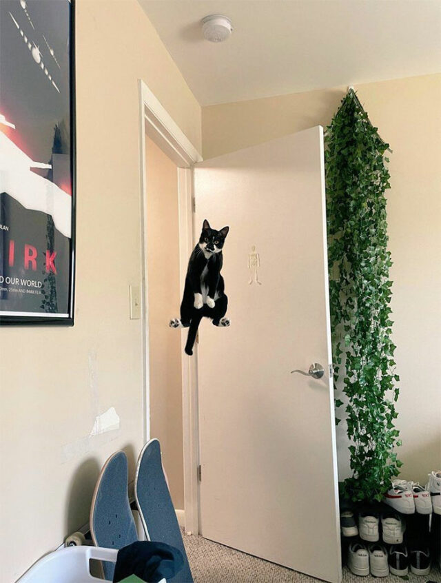 30 Confusing Images Without Context That Might Make You Question Things ...